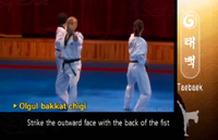Taebaek | Taekwondo Wiki | Fandom