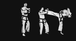 X-Knifehand Checking Block | Taekwondo Wiki | Fandom