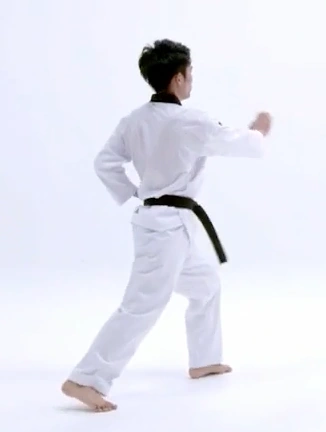 Inward Ridgehand Strike | Taekwondo Wiki | Fandom