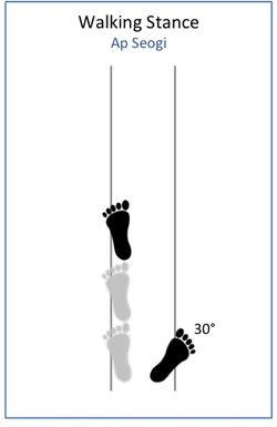 Walking Stance | Taekwondo Wiki | Fandom