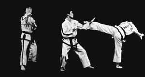 Guarding Block | Taekwondo Wiki | Fandom