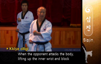 Sipjin | Taekwondo Wiki | Fandom
