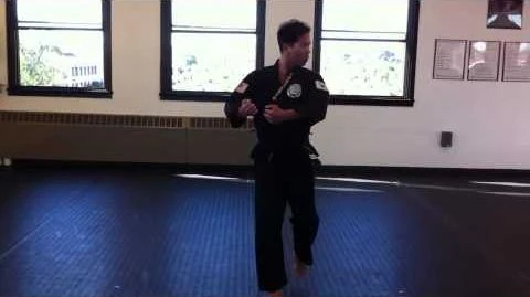 Pyung Ahn Sa-Dan | Taekwondo Wiki | Fandom