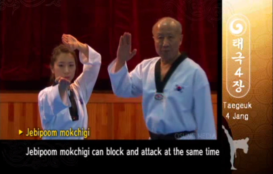 Swallowform Knifehand Strike | Taekwondo Wiki | Fandom