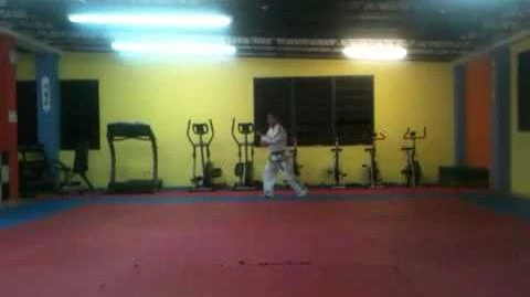 Sun-Duk | Taekwondo Wiki | Fandom