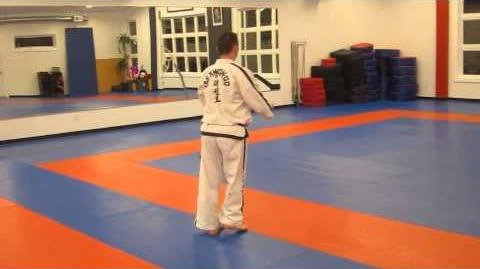 Yoo-Sin | Taekwondo Wiki | Fandom