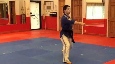 Palgwae Sam Jang | Taekwondo Wiki | Fandom