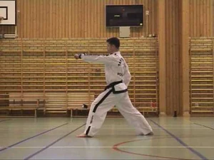 Punch | Taekwondo Wiki | Fandom