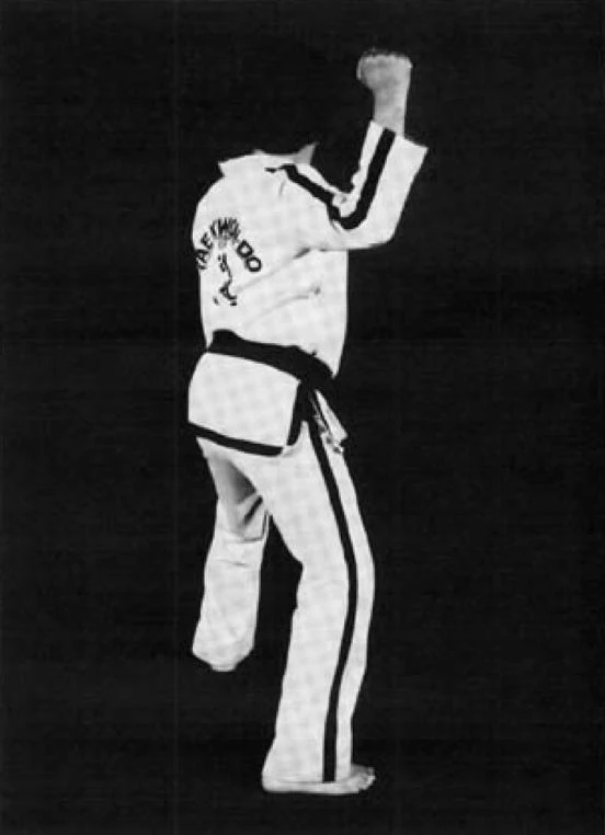 Backfist Side Strike | Taekwondo Wiki | Fandom