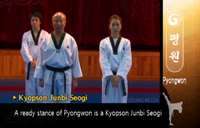 Pyongwon | Taekwondo Wiki | Fandom