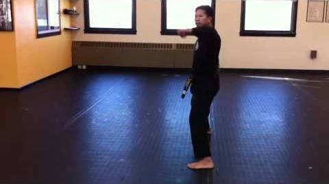 Pyung Ahn Sam-Dan | Taekwondo Wiki | Fandom