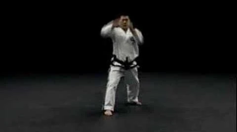 So-San | Taekwondo Wiki | Fandom