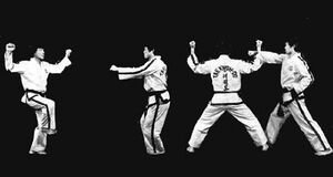 Mountain Block | Taekwondo Wiki | Fandom