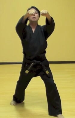 Twin Fist Vertical Punch | Taekwondo Wiki | Fandom