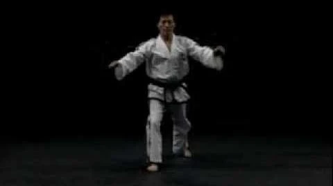 Tong-Il | Taekwondo Wiki | Fandom