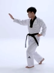 Front Riding Stance | Taekwondo Wiki | Fandom
