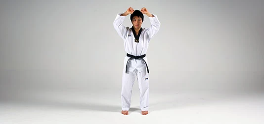 Bull Block | Taekwondo Wiki | Fandom