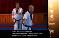 Taebaek | Taekwondo Wiki | Fandom