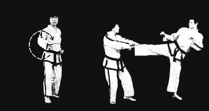 Downward Block | Taekwondo Wiki | Fandom