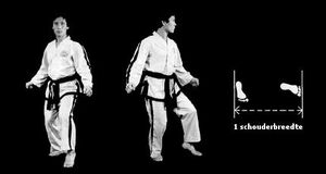 Tiger Stance | Taekwondo Wiki | Fandom