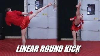 Roundhouse Kick | Taekwondo Wiki | Fandom