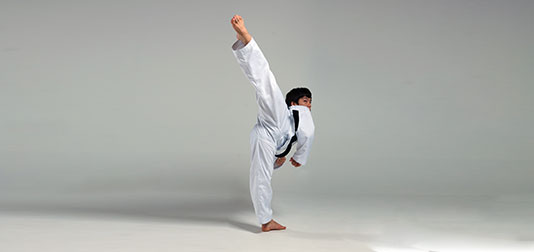 Whip Kick | Taekwondo Wiki | Fandom