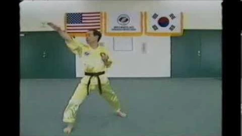 Pyung-Wa | Taekwondo Wiki | Fandom