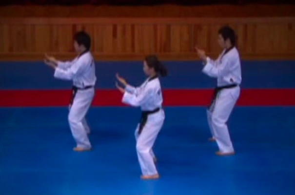 Ridgehand Opening Block | Taekwondo Wiki | Fandom