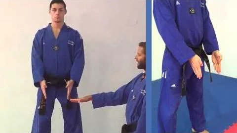 Ready Stance | Taekwondo Wiki | Fandom