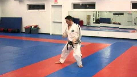 Choi-Yong | Taekwondo Wiki | Fandom
