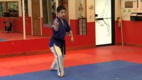 Palgwae Il Jang | Taekwondo Wiki | Fandom