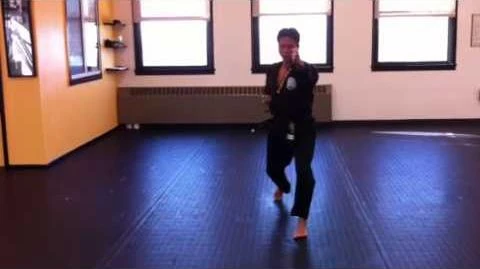 Pyung Ahn Oh-Dan | Taekwondo Wiki | Fandom