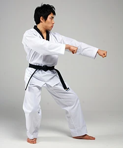 Fork Punch | Taekwondo Wiki | Fandom