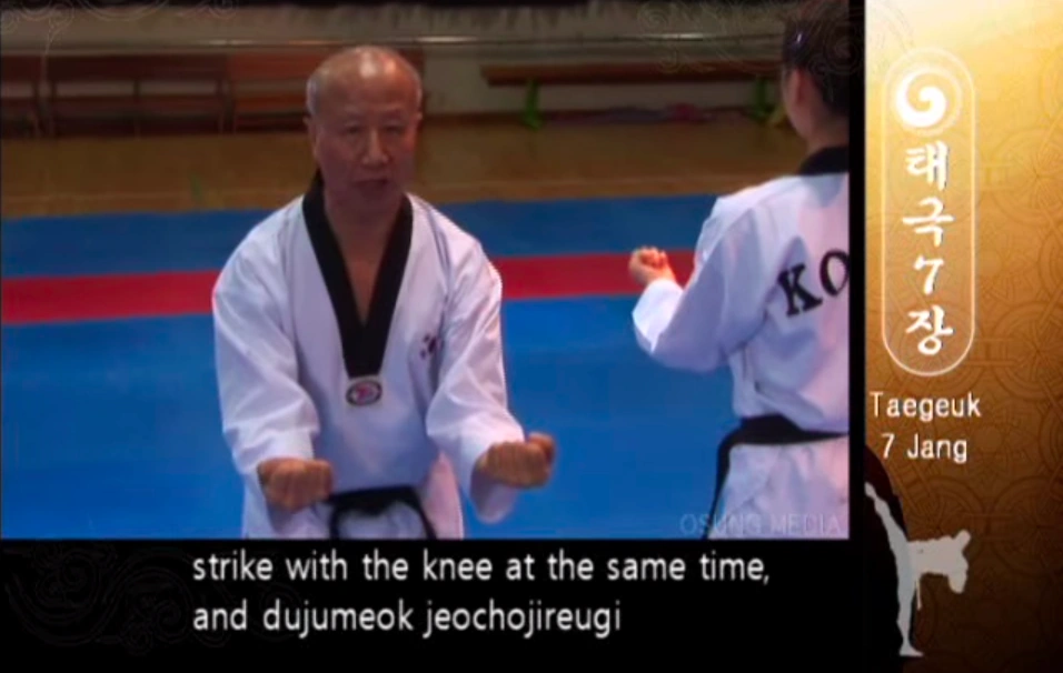 Double Uppercut | Taekwondo Wiki | Fandom