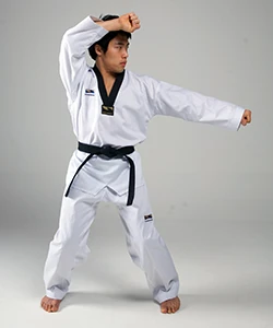 Diamond Side Punch | Taekwondo Wiki | Fandom