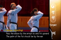 Pyongwon | Taekwondo Wiki | Fandom