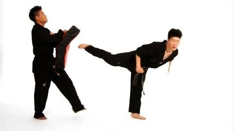 Back Kick | Taekwondo Wiki | Fandom