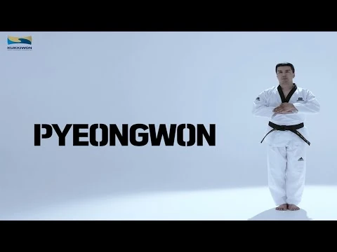 Pyongwon | Taekwondo Wiki | Fandom