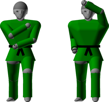 High Block | Taekwondo Wiki | Fandom