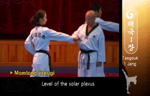 Punch | Taekwondo Wiki | Fandom