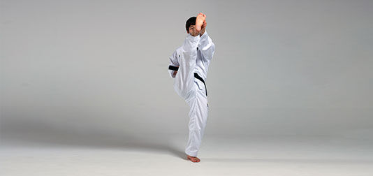 Target Crescent Kick | Taekwondo Wiki | Fandom