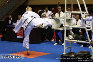 Taekwondo Breaking | Taekwondo Wiki | Fandom