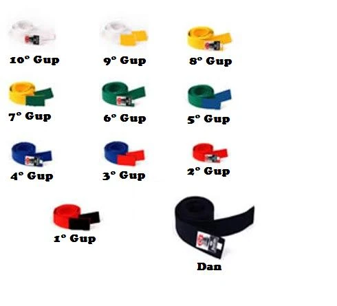 Las graduaciones de Taekwondo ITF | Taekwondo Wiki | Fandom