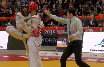 Monkey Kick | Taekwondo Wiki | Fandom