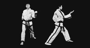 Circular Block | Taekwondo Wiki | Fandom