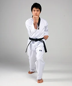 Upward Punch | Taekwondo Wiki | Fandom