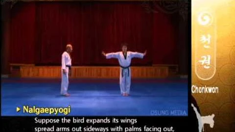 Chonkwon | Taekwondo Wiki | Fandom