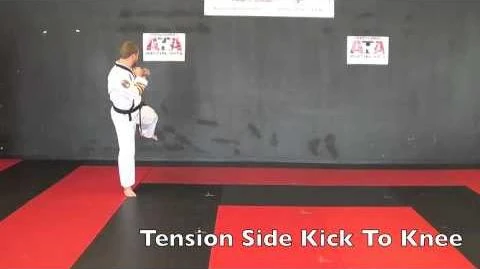 Shim Jun | Taekwondo Wiki | Fandom