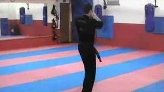 Dan-Gun | Taekwondo Wiki | Fandom