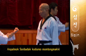 Palm Augmented Outward Block | Taekwondo Wiki | Fandom